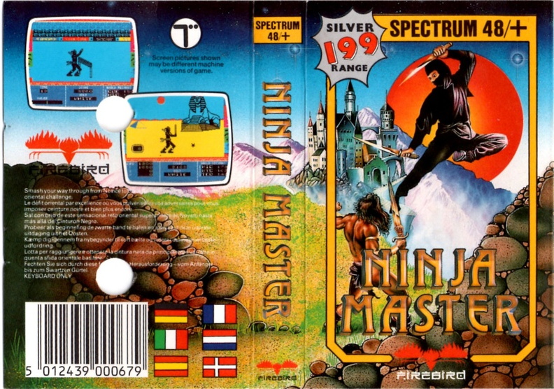 NinjaMaster | Arcade Artwork